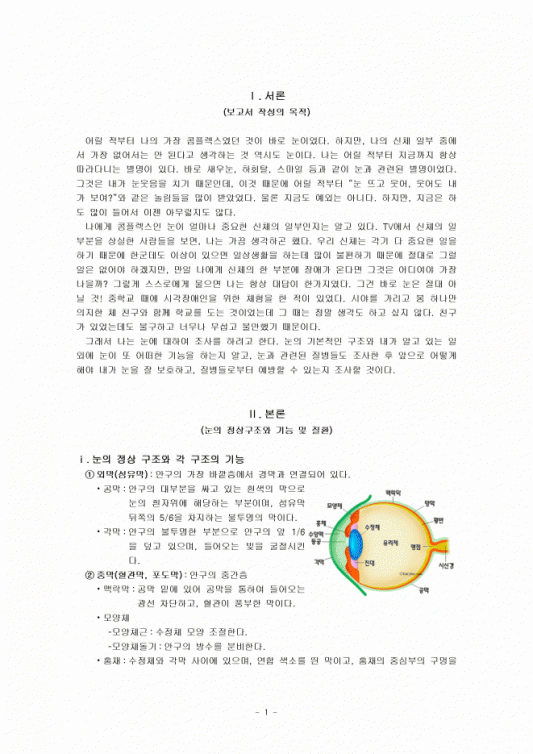 눈의 구조와 기능 및 질환 - 병리학