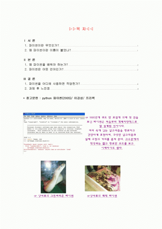 컴퓨터 언어 python( 파이썬)에 대하여