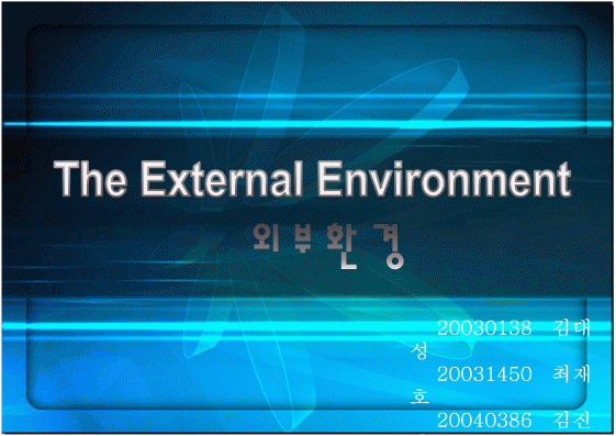 경영조직론 외부환경 발표 자료