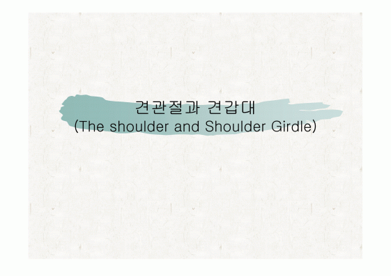 견관절과 견갑대