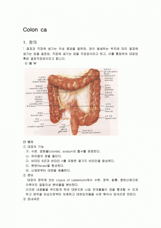 대장암[Colon ca]의 진단과 치료