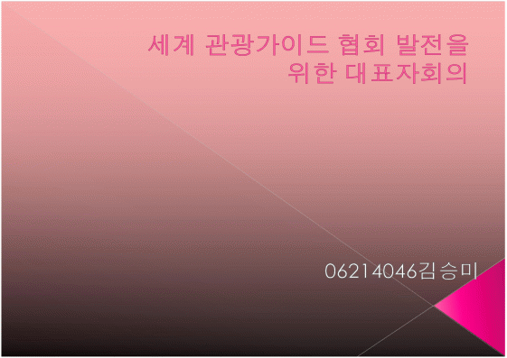 PPT 세계 관광가이드협회 발전을 위한 대표자 회의 컨벤션기획안 대학과제