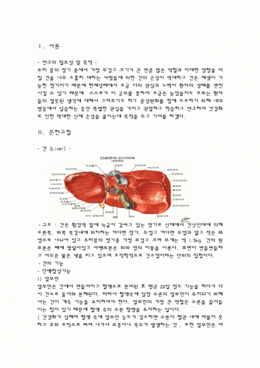 간의 문헐고찰과 간경과 case study