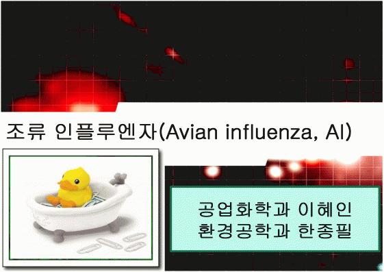 재난, 조류독감