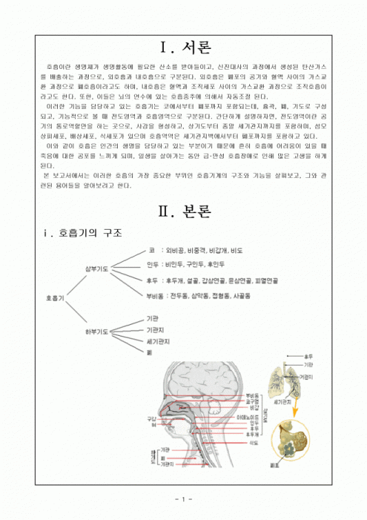 호흡기의 구조와 기능, 간호시 사용되는 용어