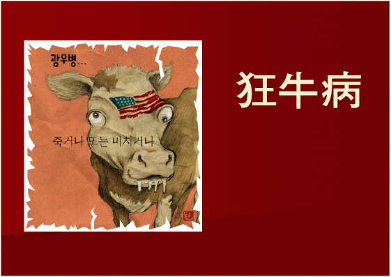광우병 [狂牛病, bovine spongiform encephalopathy]