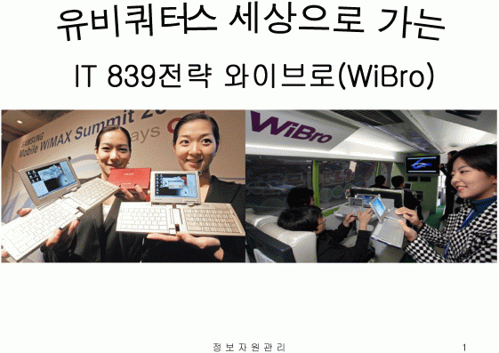 유비쿼터스 세상으로 가는 IT 839전략 와이브로(WiBro)