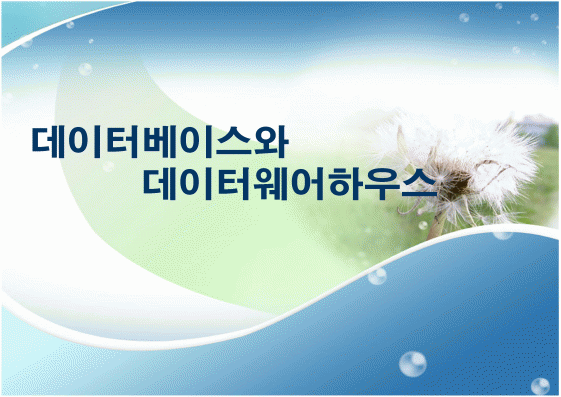 데이터베이스, 데이터웨어하우스