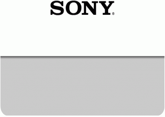 SONY 조직문화 레포트 자료