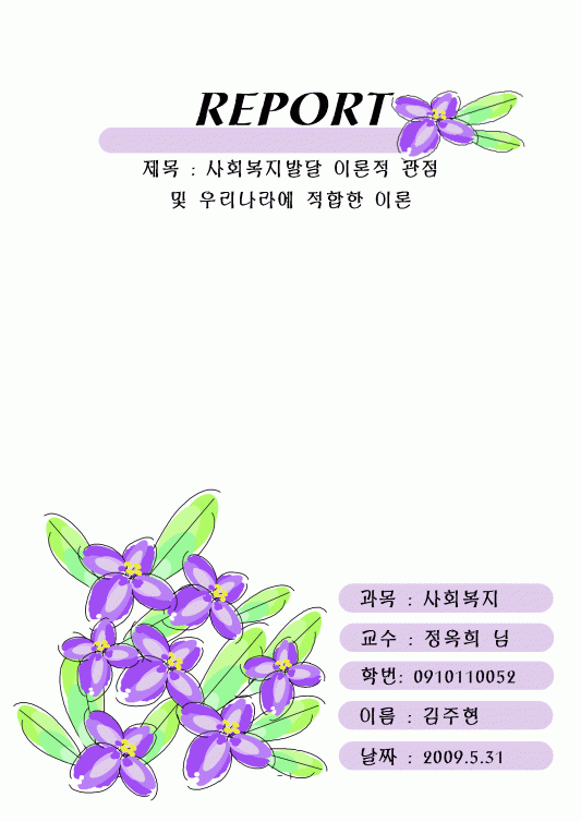 사회복지 발달이론 관점 및 우리나라에 적합한 이론