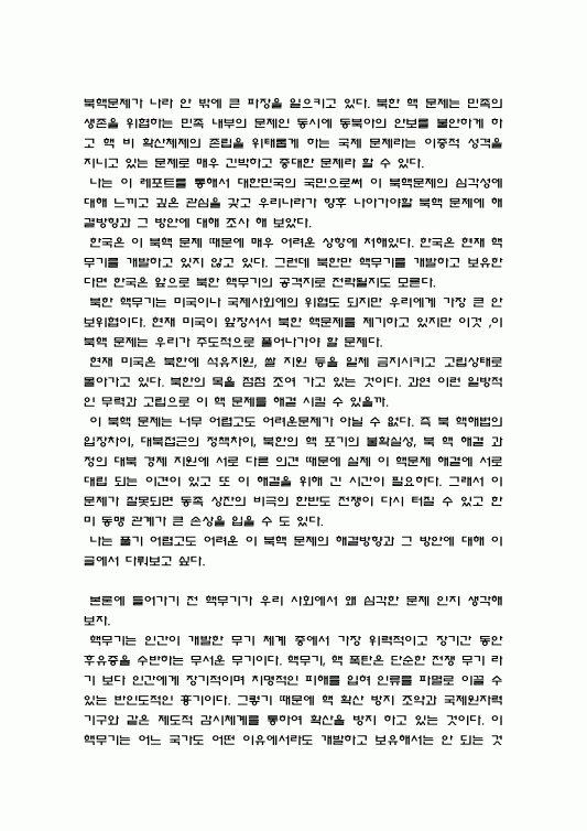 북한 핵문제-논설문