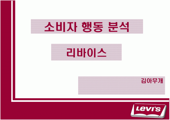 리바이스의 소비자행동분석 PPT