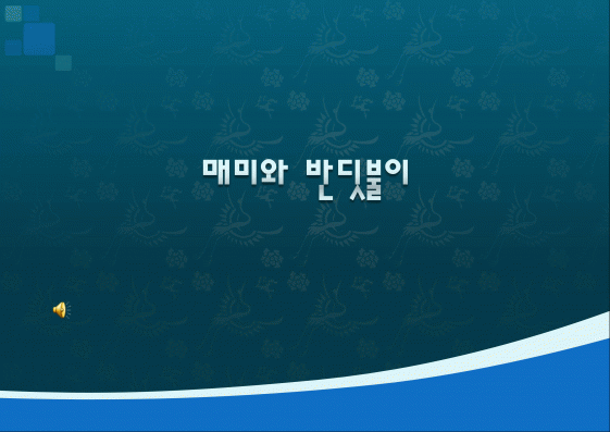 매미와 반딧불의 생태와 자원학적 가치 // 특A급
