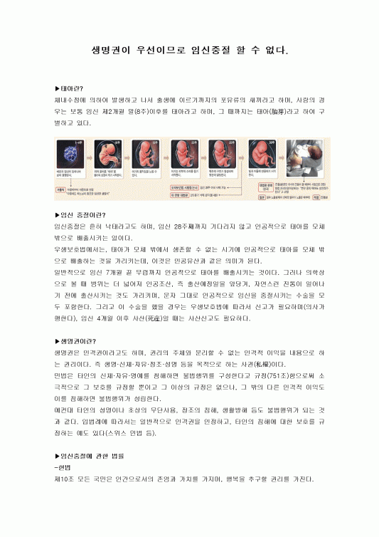 임신중절반대 레포트