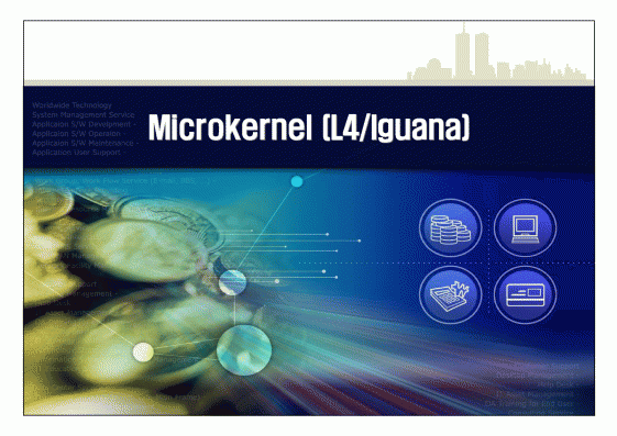 마이크로커널 (Microkernel) - L4/Iguana
