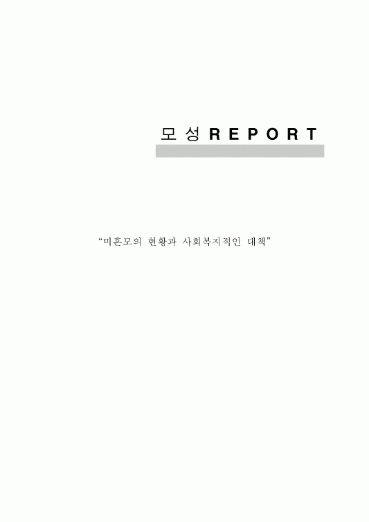 미혼모의 현황과 사회복지적인 대책