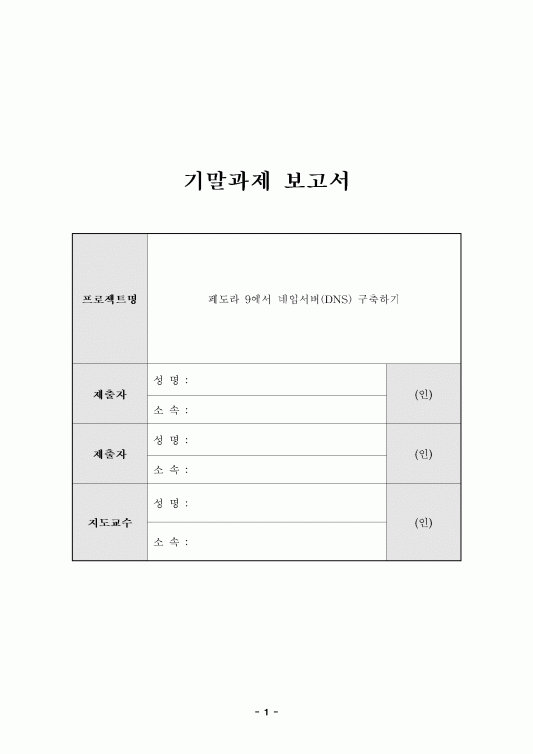리눅스 페도라9 DNS & WebServer 구축 보고서