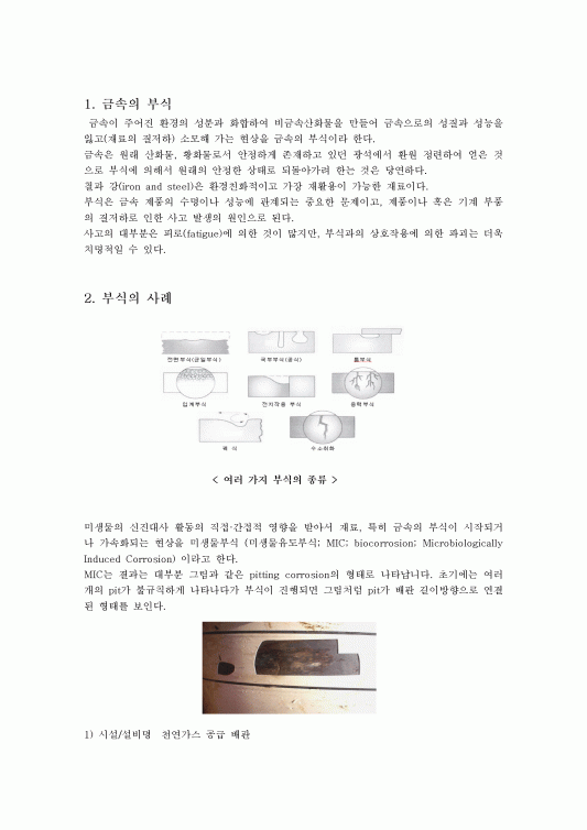 부식의 사례 레포트 자료