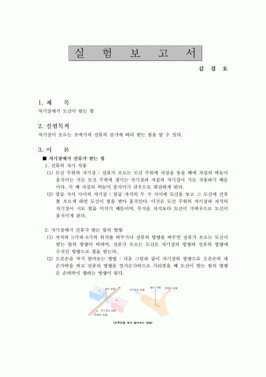 [물리학]자기장