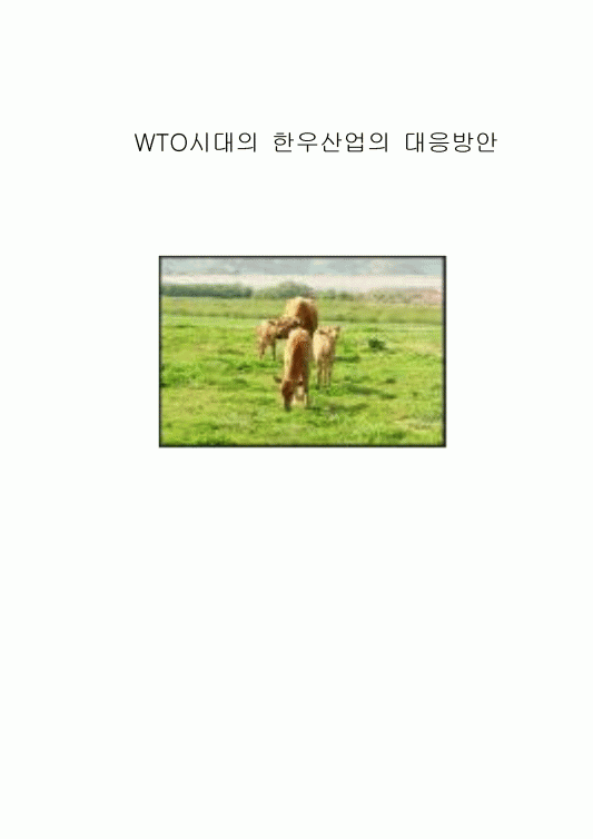 WTO시대에 한우산업대응방안