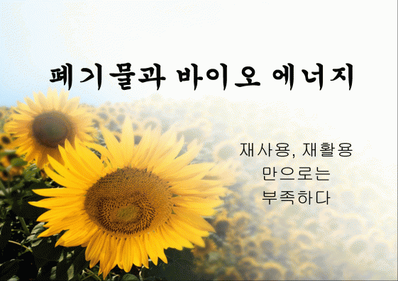 바이오 에너지 바이오매스