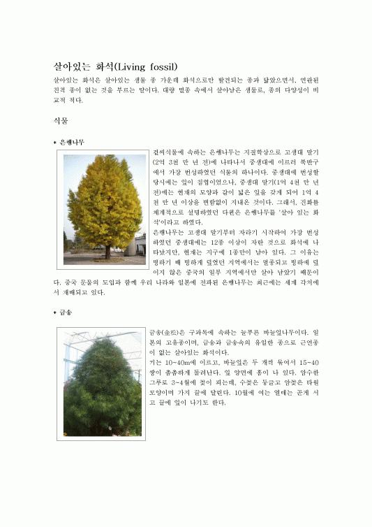 살아있는 화석 (Living fossil)