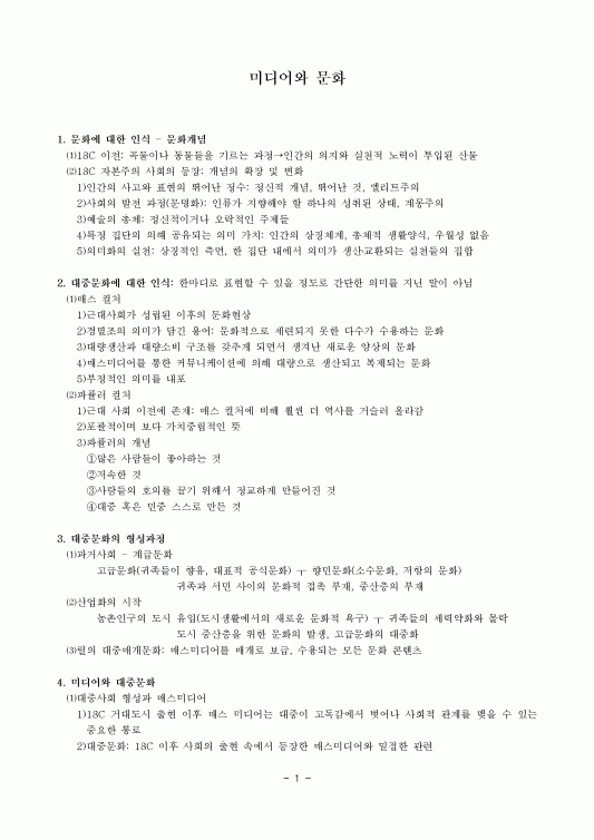 미디어와 문화에 대해서