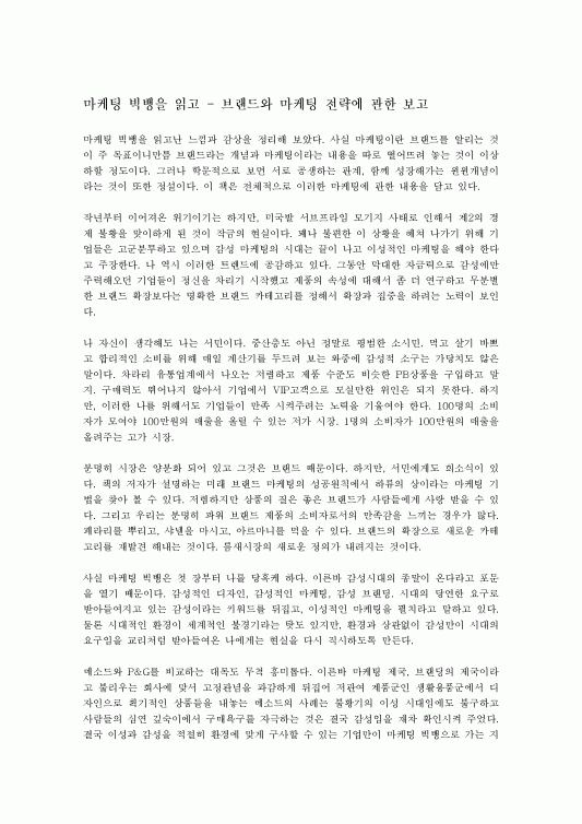 마케팅 빅뱅을 읽고 - 브랜드와 마케팅 전략에 관한 보고