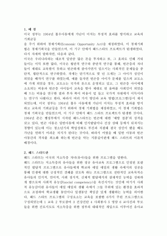 헤드스타트 레포트 자료