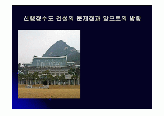 신행정수도 건설의 문제점과 앞으로의 방향.
