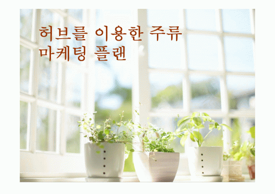 사업 계획서-허브와인