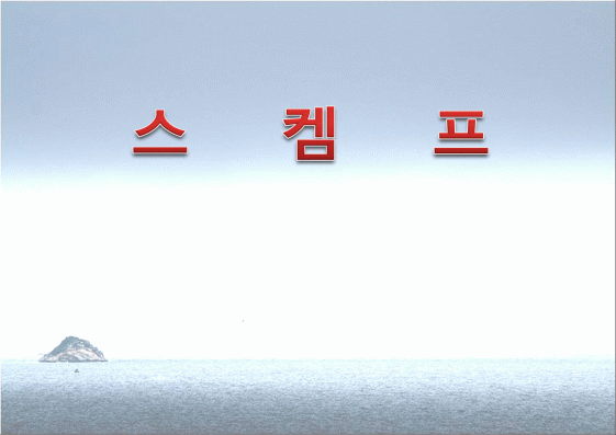 수학교육론  스켐프 파워포인트
