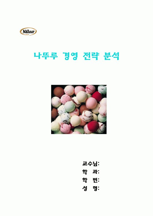 나뚜루 경영 전략 분석