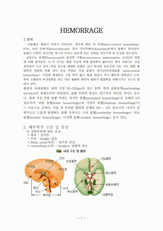HEMORRAGE 뇌출혈