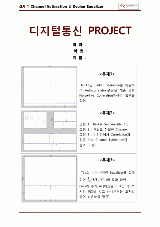 Channel Estimation Design Equalizer