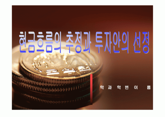 (PPT 자료)현금흐름의 추정과 투자안의 선정