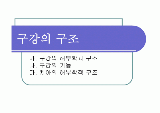 구강의 구조 레포트 자료