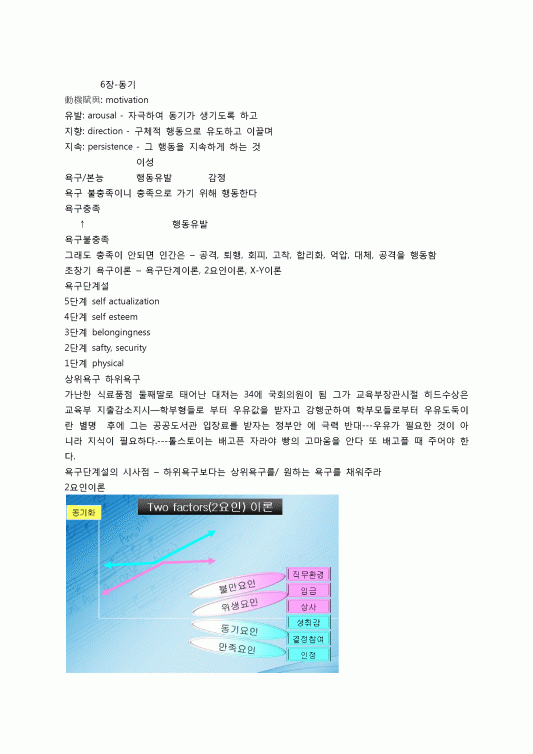 인사조직론 중 동기에 관한 요약