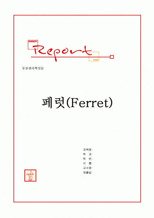 동물관리학실습_페럿(Ferret)