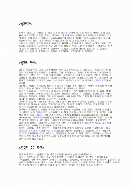 [예체능] 축구의 이해