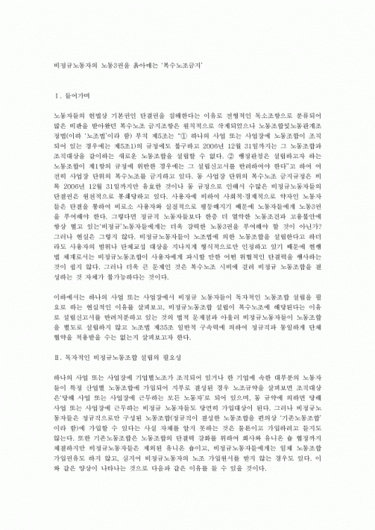 비정규노동자의 노동3권 보장 문제와 복수노조금지와의 관계