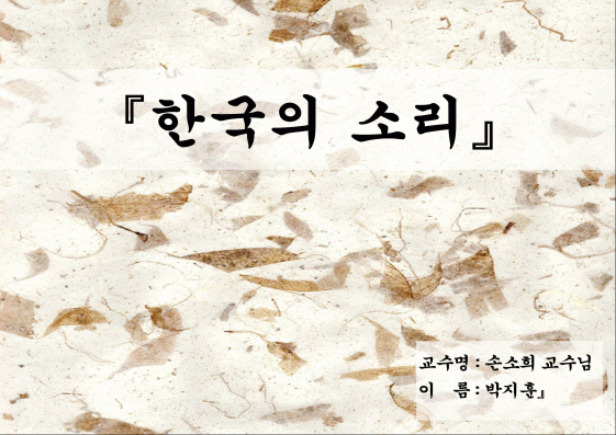 한국의 소리 레포트 자료