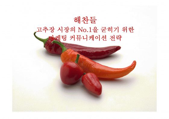 해찬들 청정원 참그루 마케팅 기획서