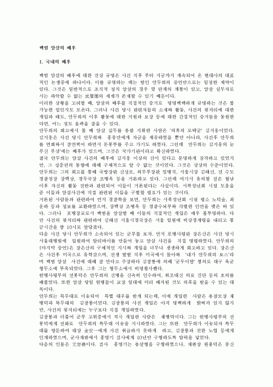 백범 암살의 배후
