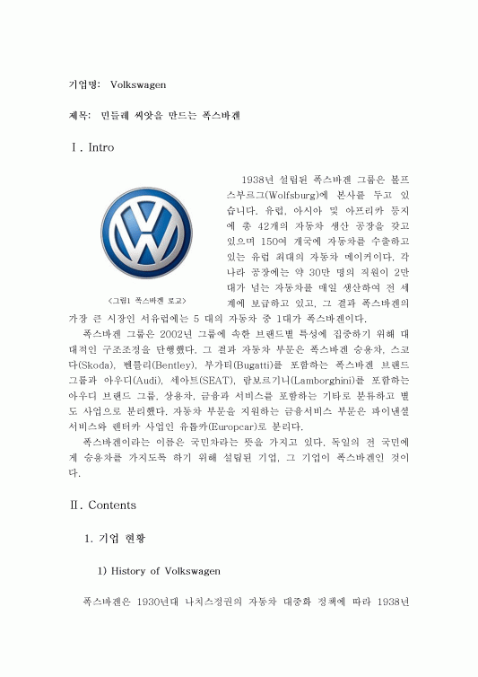 폭스바겐사의 기업분석 한글자료