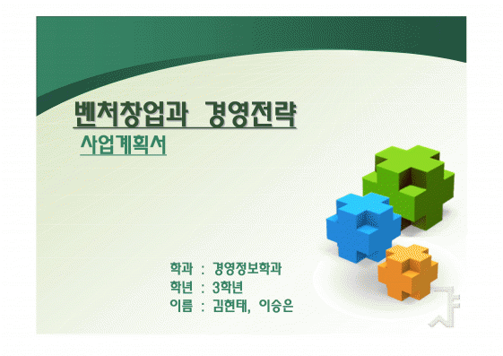 벤처창업과 경영전략(사업계획서)