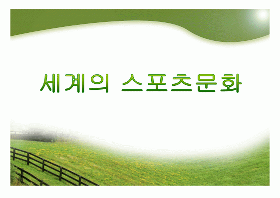 세계의 스포츠문화