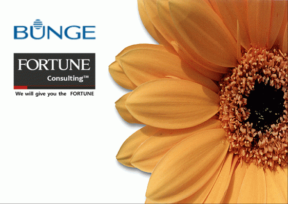 바이오연료 시장과 곡물시장, 그리고 벙기(Bunge)