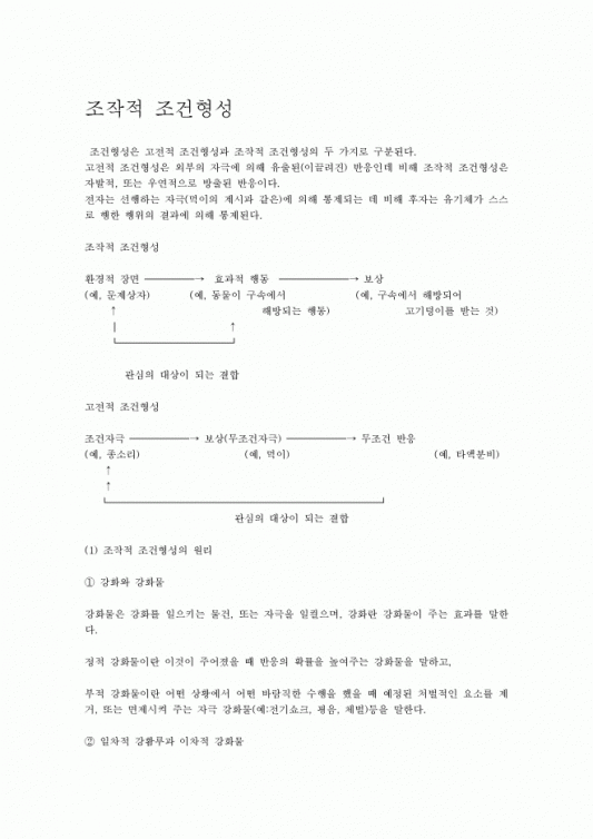 조작적 조건형성