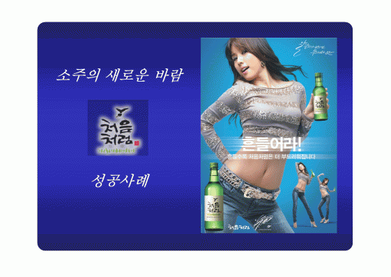 [마케팅원론]소주 처음처럼 마케팅전략 및 성공요인 분석